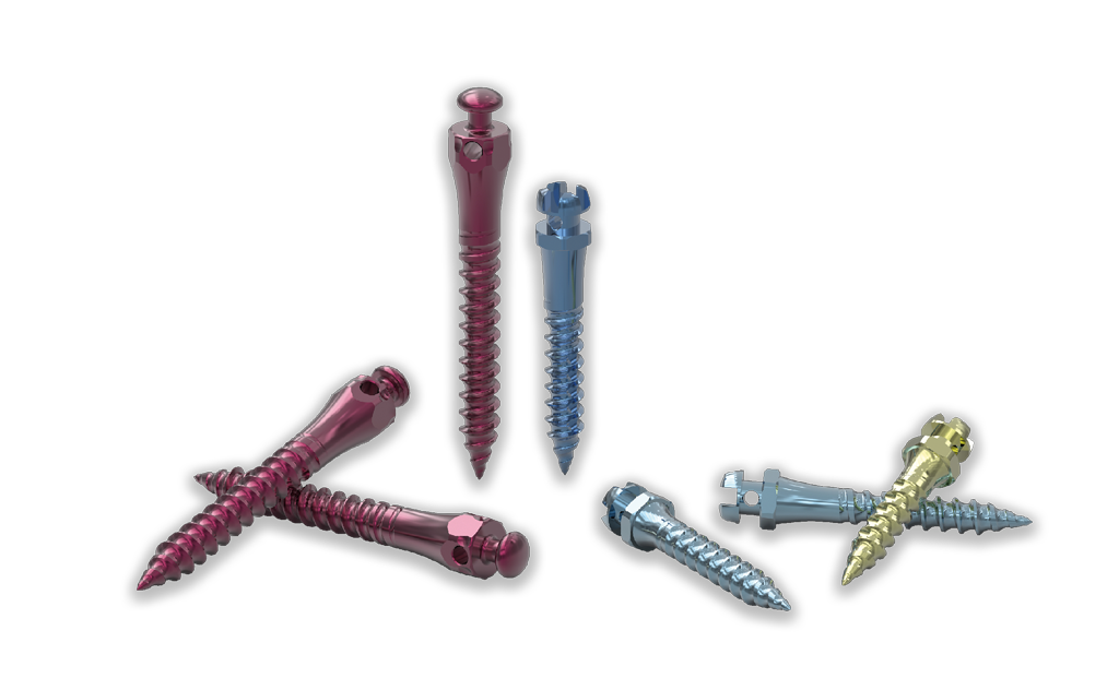 Portal Ziacom | Portal Ziacom